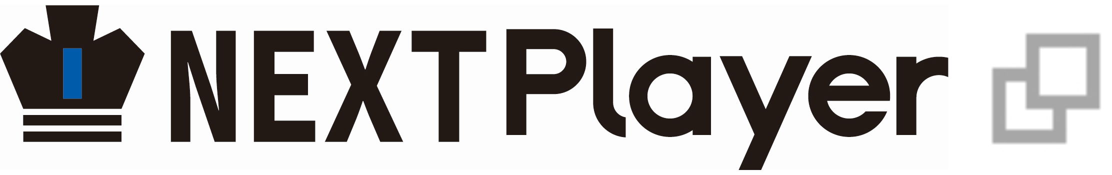 COMPANY – ネクストレベル ホールディングス